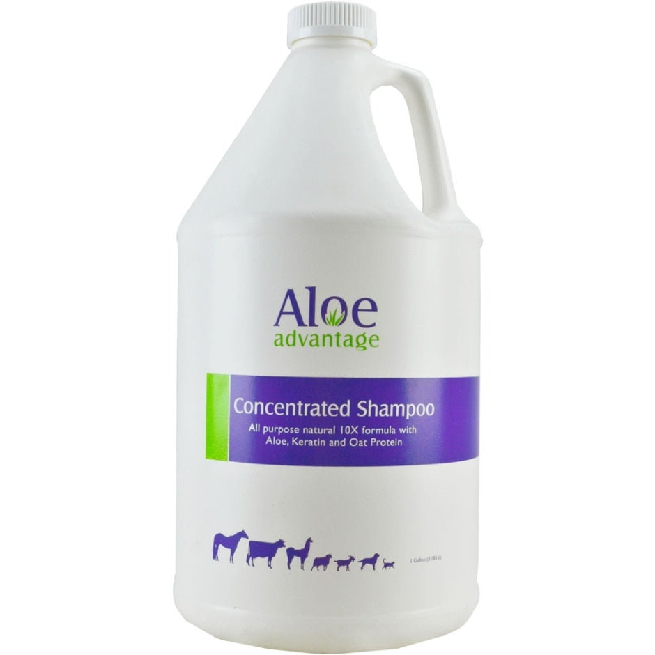 Aloe Advantage Concentrated Shampoo - Malta, NY - Malta Farm & Garden